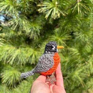 Crochet American Robin | Realistic Garden Bird | Crochet Amigurumi ...