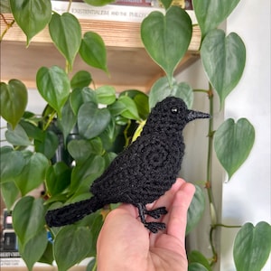 Beautiful Raven Written Crochet Pattern | Crochet Bird Amigurumi ...