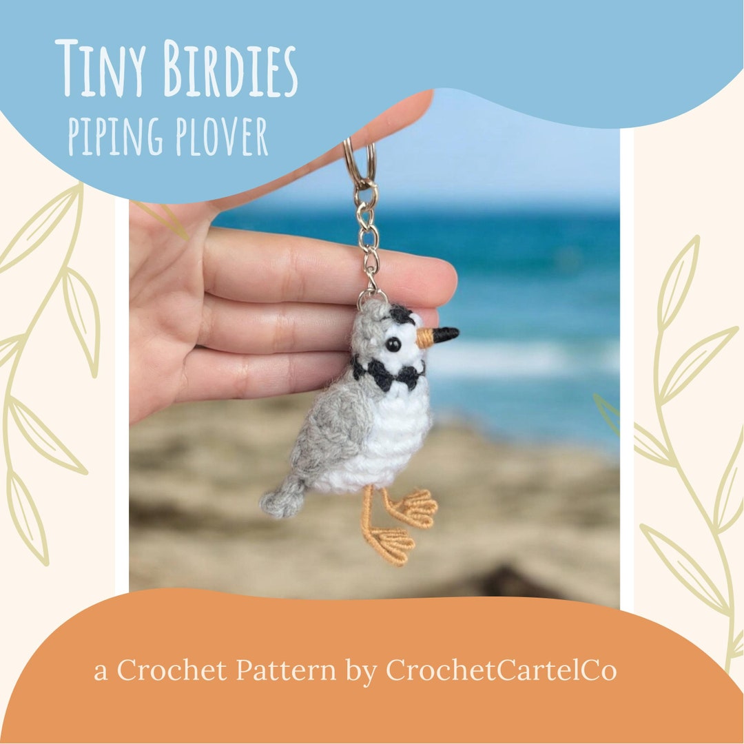 Tiny Birdies Crochet Piping Plover Written Crochet Pattern | Crochet ...