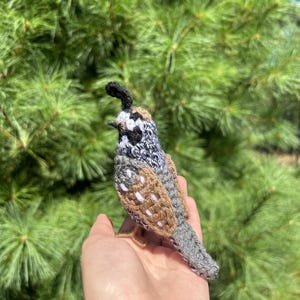 Crochet California Quail | Realistic Bird Crochet Amigurumi | Crochet ...