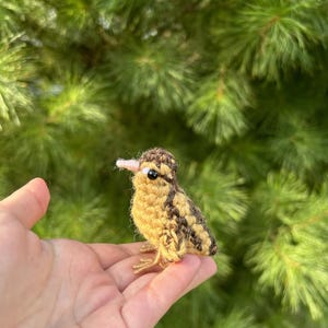 Quail Chick Written Crochet Pattern | Crochet Bird Amigurumi | Crochet ...