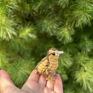 Quail Chick Written Crochet Pattern | Crochet Bird Amigurumi | Crochet ...
