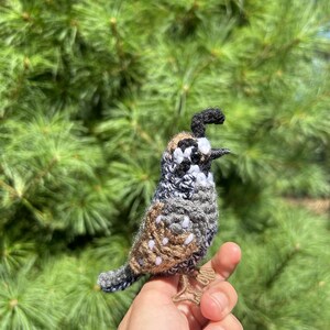 California Quail Written Crochet Pattern | Crochet Bird Amigurumi ...