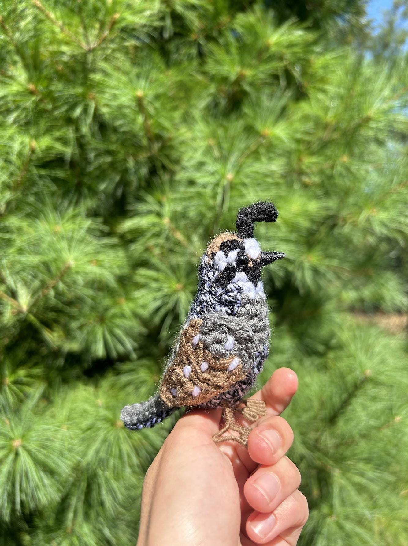 California Quail Written Crochet Pattern | Crochet Bird Amigurumi ...