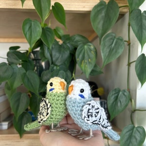 Crochet Little Parakeets | Crochet Amigurumi | Crochet Budgie Plush Toy ...
