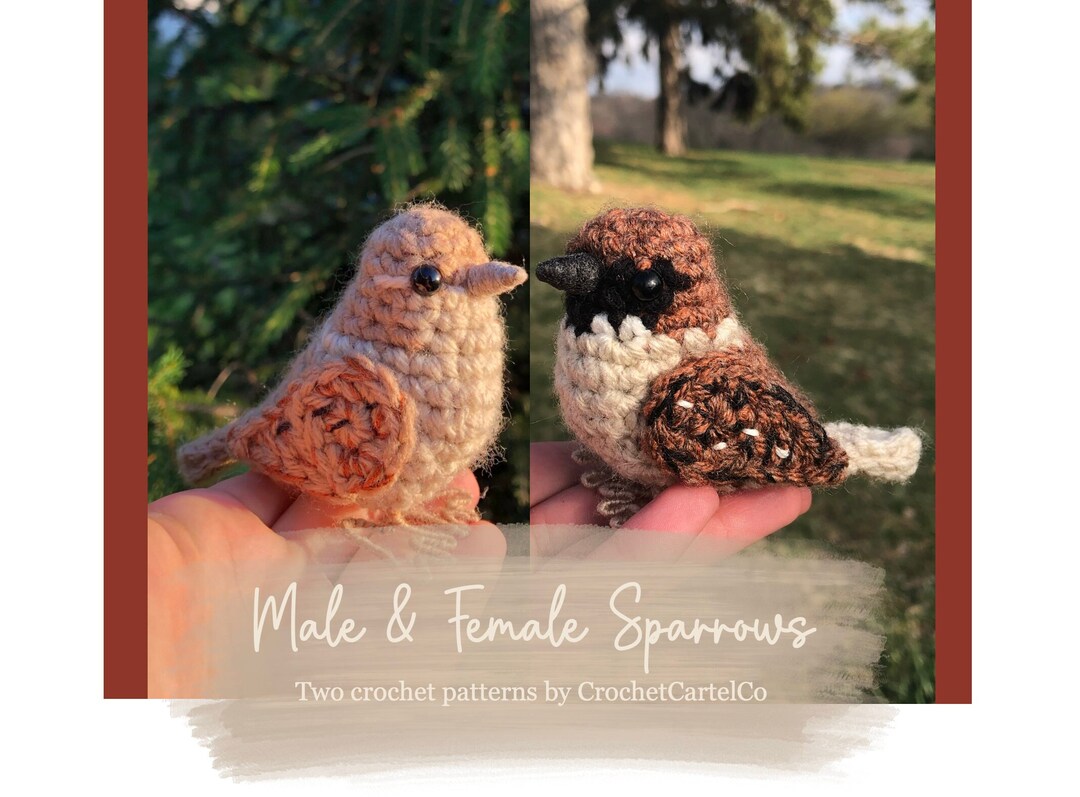 Male + Female Sparrow Crochet Pattern Bundle | Realistic Garden Bird Pattern | House Sparrow | 2 ...