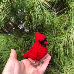 Little Cardinal Written Crochet Pattern | Crochet Amigurumi | Realistic ...