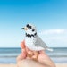 Piping Plover Written Crochet Pattern | Realistic Crochet Amigurumi ...