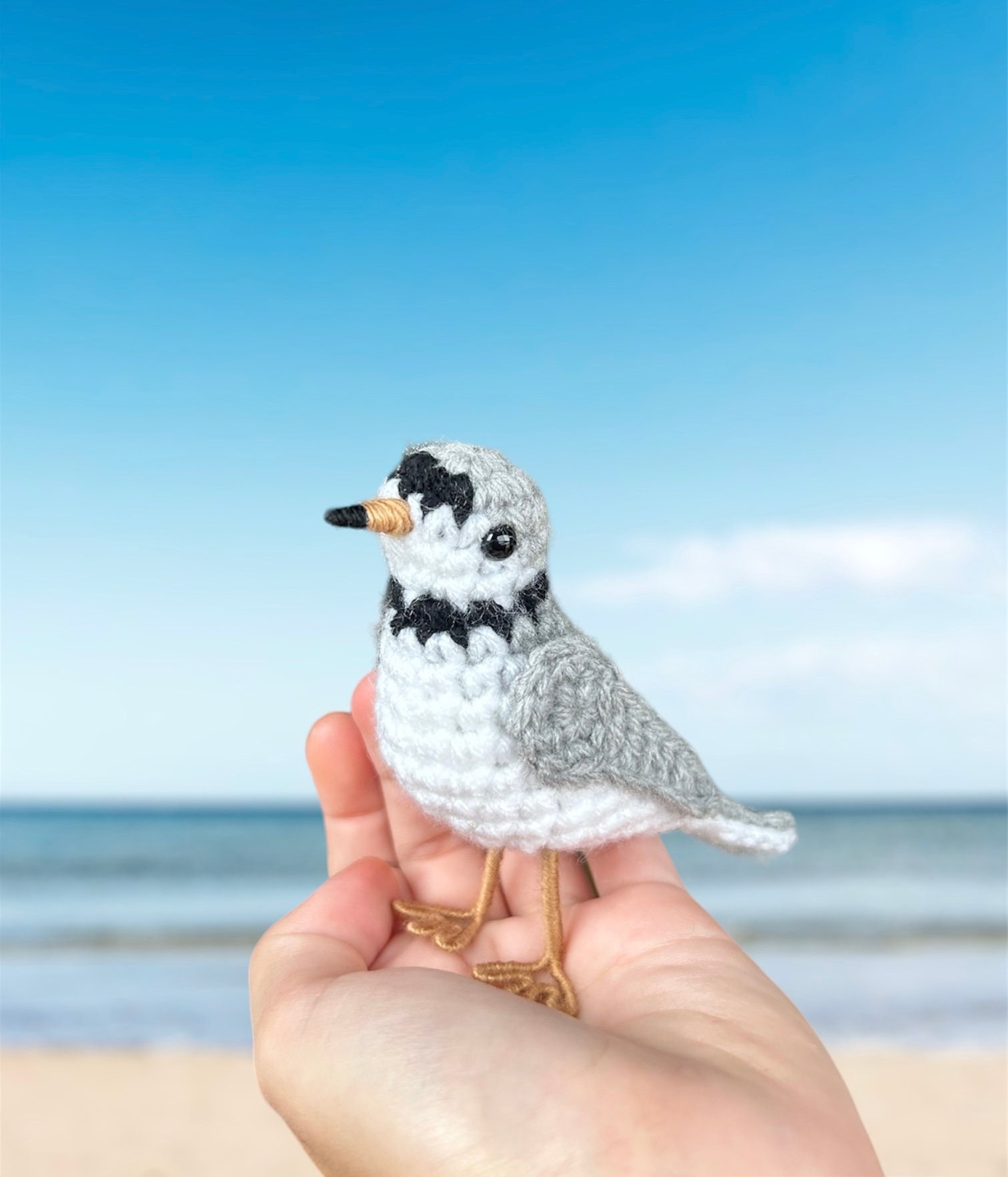 Piping Plover Written Crochet Pattern | Realistic Crochet Amigurumi ...