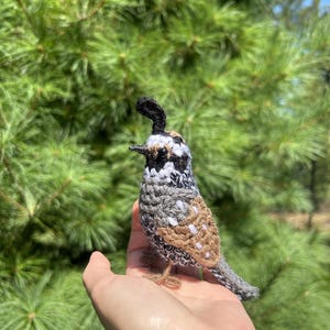 Crochet California Quail | Realistic Bird Crochet Amigurumi | Crochet ...