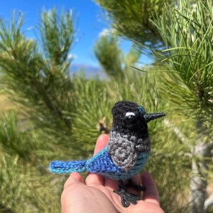 Steller's Jay Written Crochet Pattern | Realistic Bird Crochet Pattern ...
