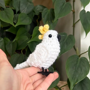 Little Cockatoos Written Crochet Pattern | Realistic Bird Crochet ...