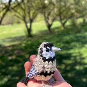 Owl Finch Written Crochet Pattern | Crochet Bird Amigurumi | Finch ...