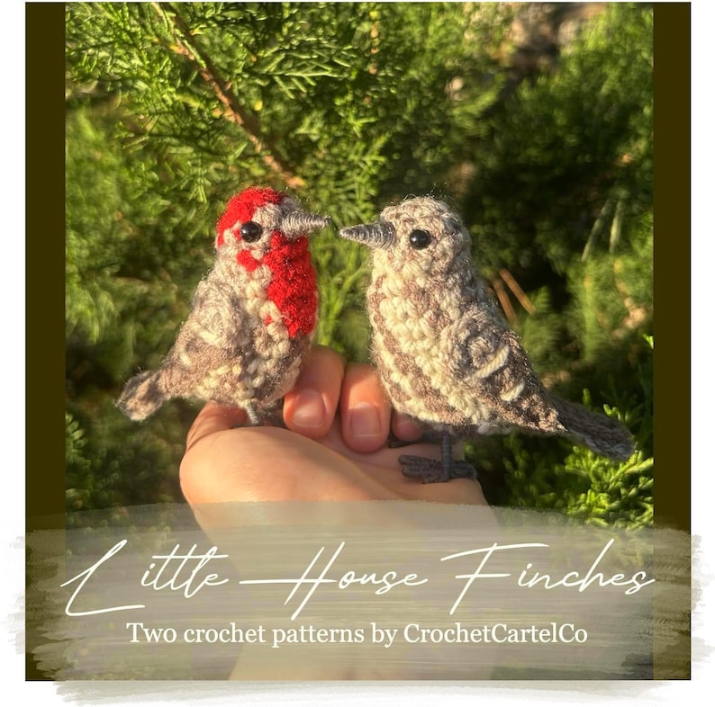 Male + Female House Finch Crochet Pattern Bundle | Realistic Garden ...