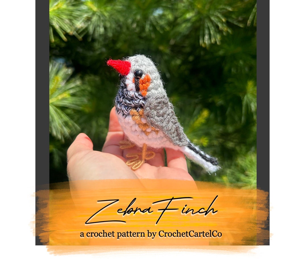 Zebra Finch Written Crochet Pattern | Crochet Bird Amigurumi | Finch ...