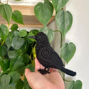 Beautiful Raven Written Crochet Pattern | Crochet Bird Amigurumi ...