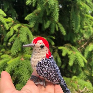 Birds of North America Crochet Pattern Bundle | 4 Realistic Crochet ...