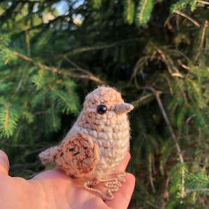 Male + Female Sparrow Crochet Pattern Bundle | Realistic Garden Bird ...