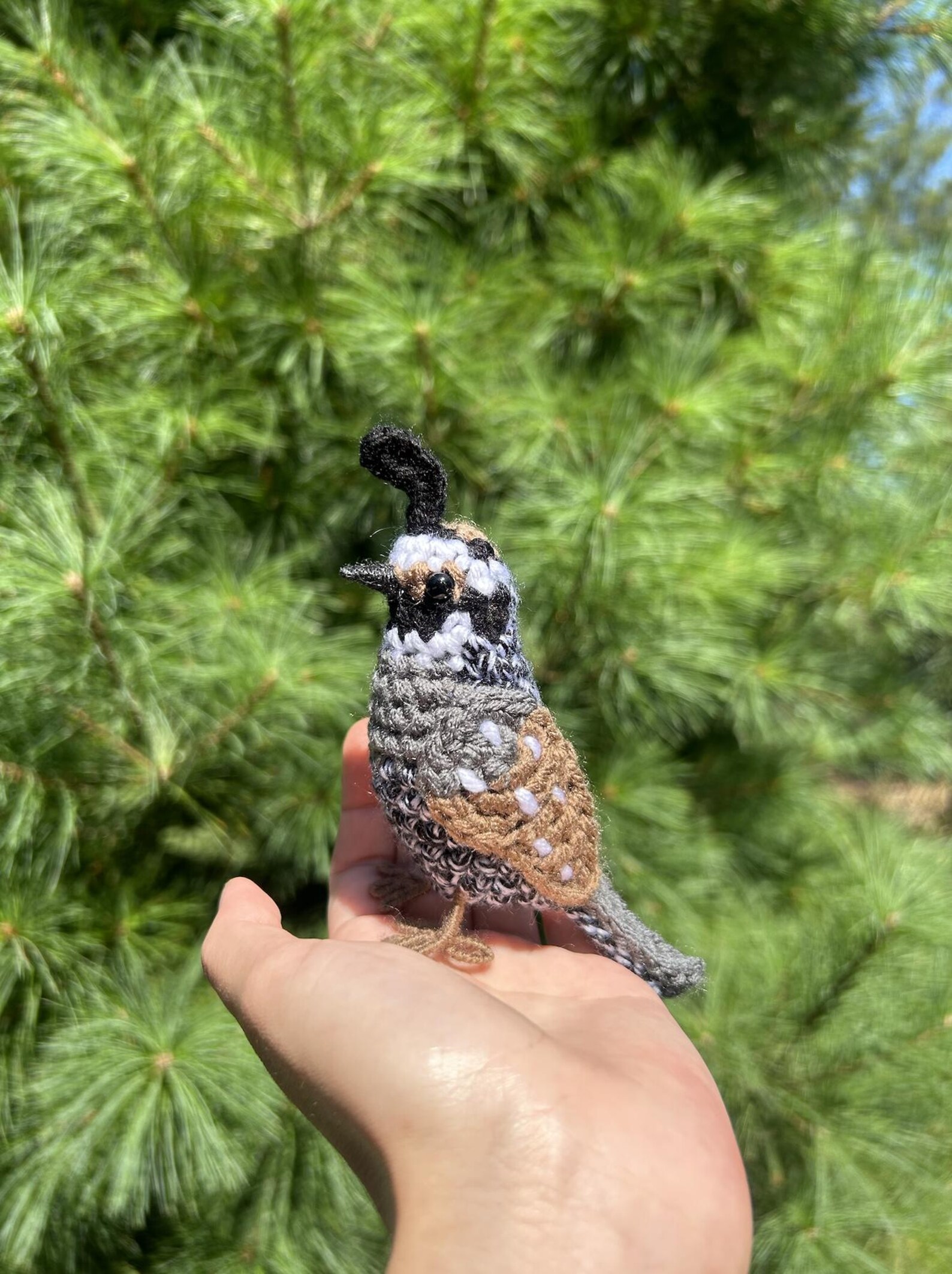 California Quail Written Crochet Pattern | Crochet Bird Amigurumi ...