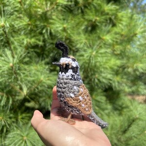 California Quail Written Crochet Pattern | Crochet Bird Amigurumi ...