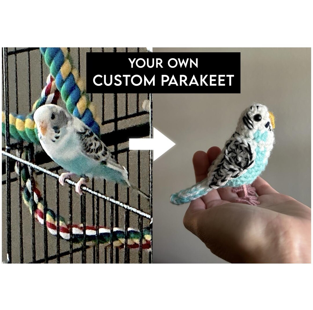 Crochet Custom Parakeet | Realistic Crochet Budgie Figure | Custom ...