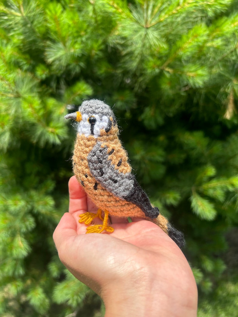 American Kestrel Written Crochet Pattern | Crochet Bird Amigurumi ...