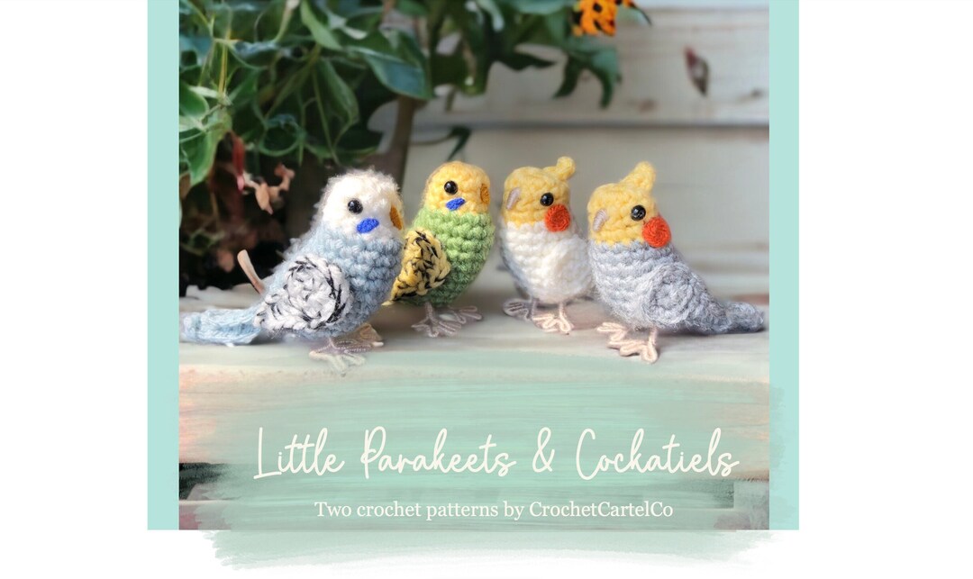 Parakeet + Cockatiel Crochet Pattern Bundle | Realistic Bird Crochet ...