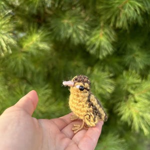 Quail Chick Written Crochet Pattern | Crochet Bird Amigurumi | Crochet ...