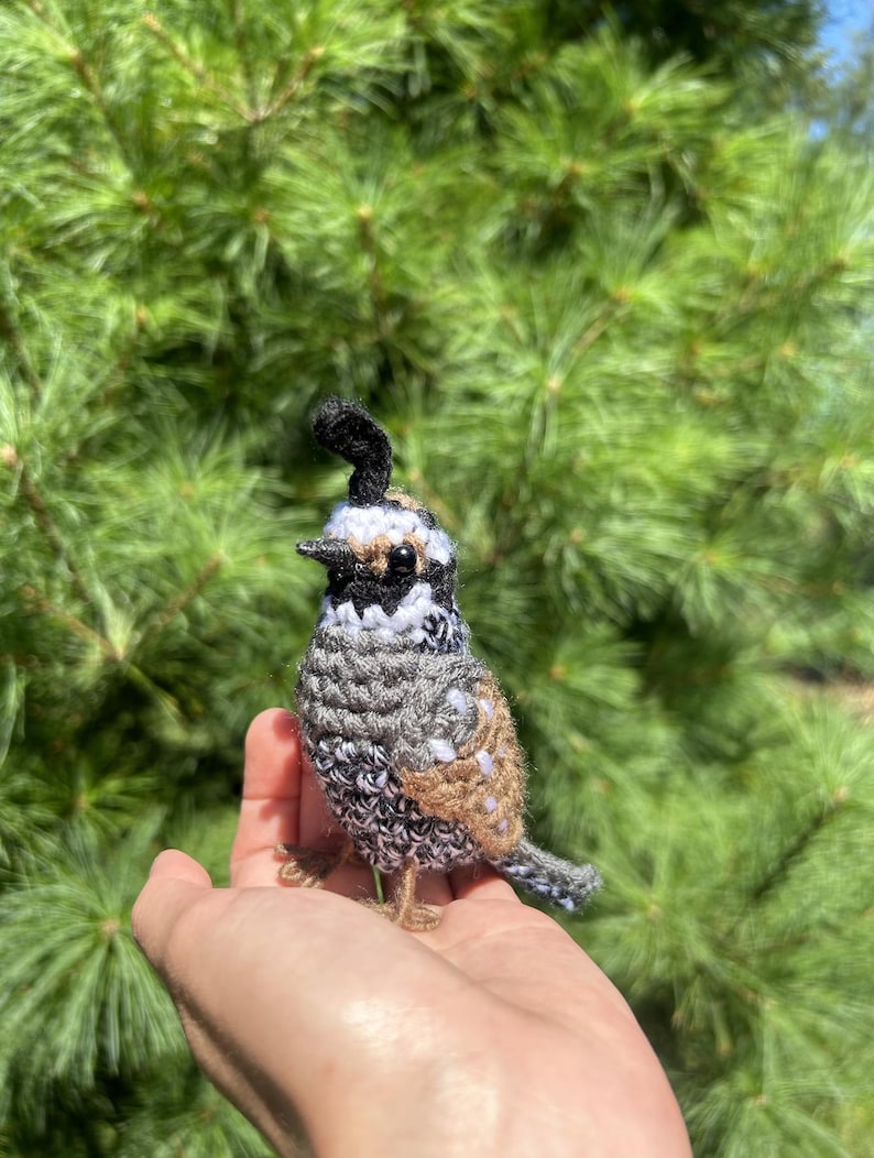 California Quail Written Crochet Pattern | Crochet Bird Amigurumi ...