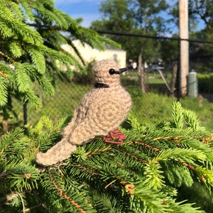 Little Ring-necked Dove Crochet Pattern | Realistic Bird Pattern ...