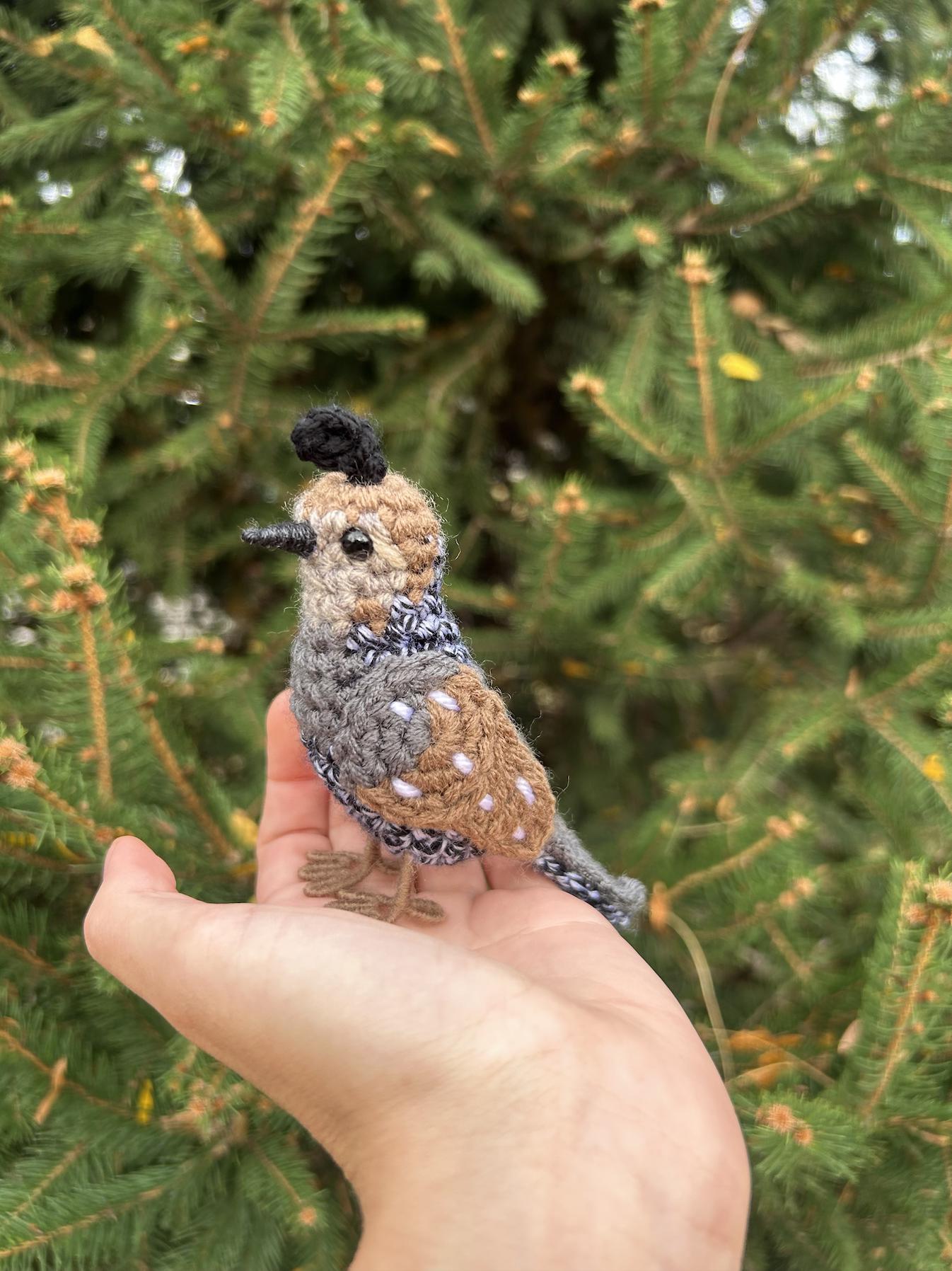 Female California Quail Written Crochet Pattern | Crochet Bird ...
