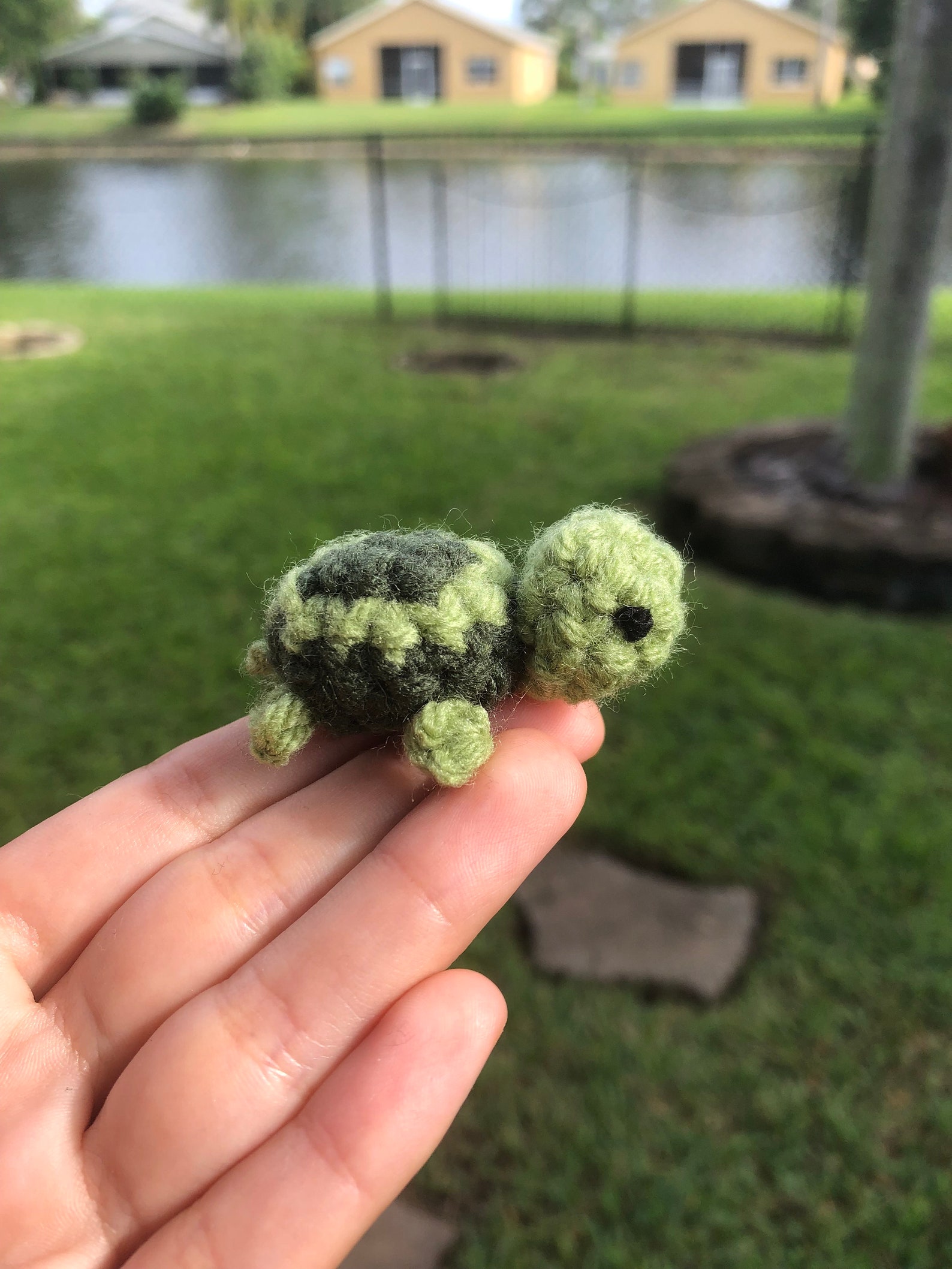 Mini Crochet Turtles Set of Two - Etsy
