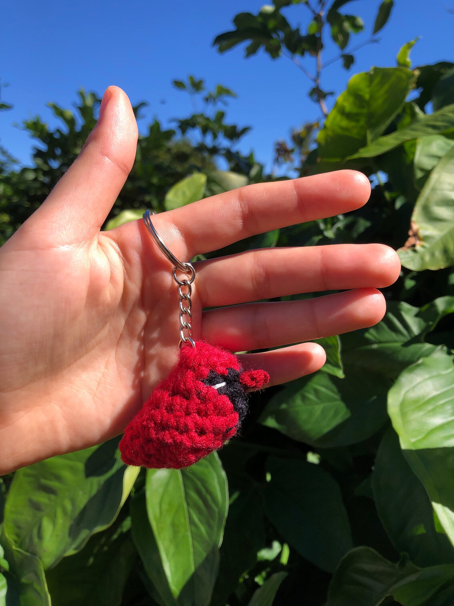 Crochet Baby Blue Jay or Cardinal Keychain Crochet Amigurumi - Etsy