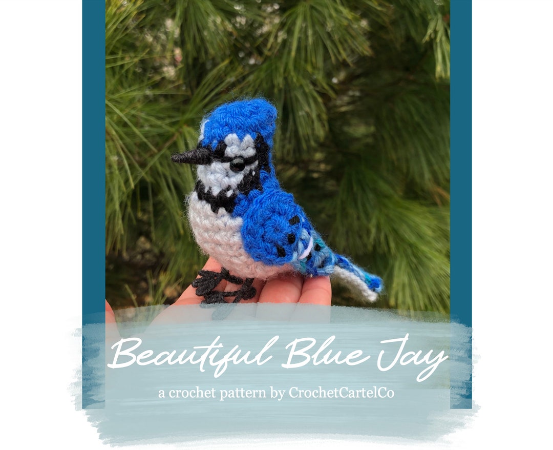 Beautiful Blue Jay Written Crochet Pattern | Realistic Bird Crochet ...