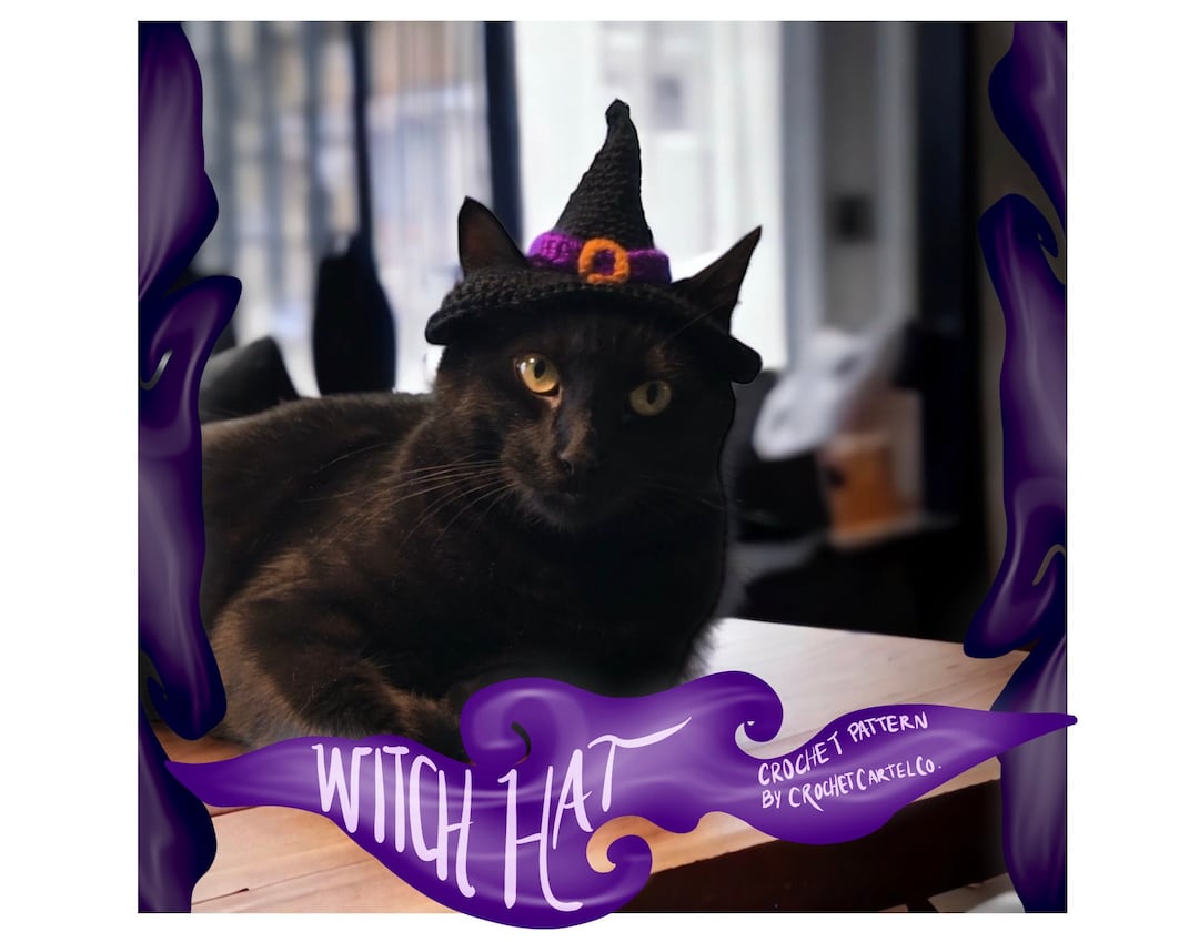 Cat Witch Hat Written Crochet Pattern | Halloween Crochet Hat for Pet ...