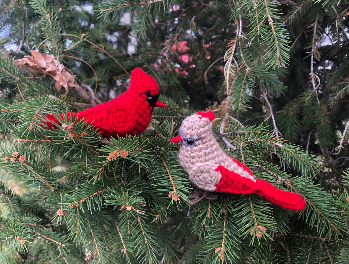 Male + Female Cardinal Crochet Pattern Bundle | Realistic Bird Crochet ...