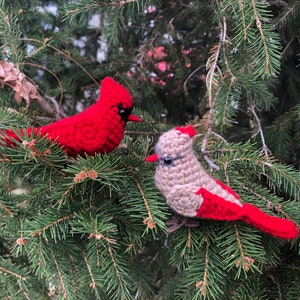 Male + Female Cardinal Crochet Pattern Bundle | Realistic Bird Crochet ...