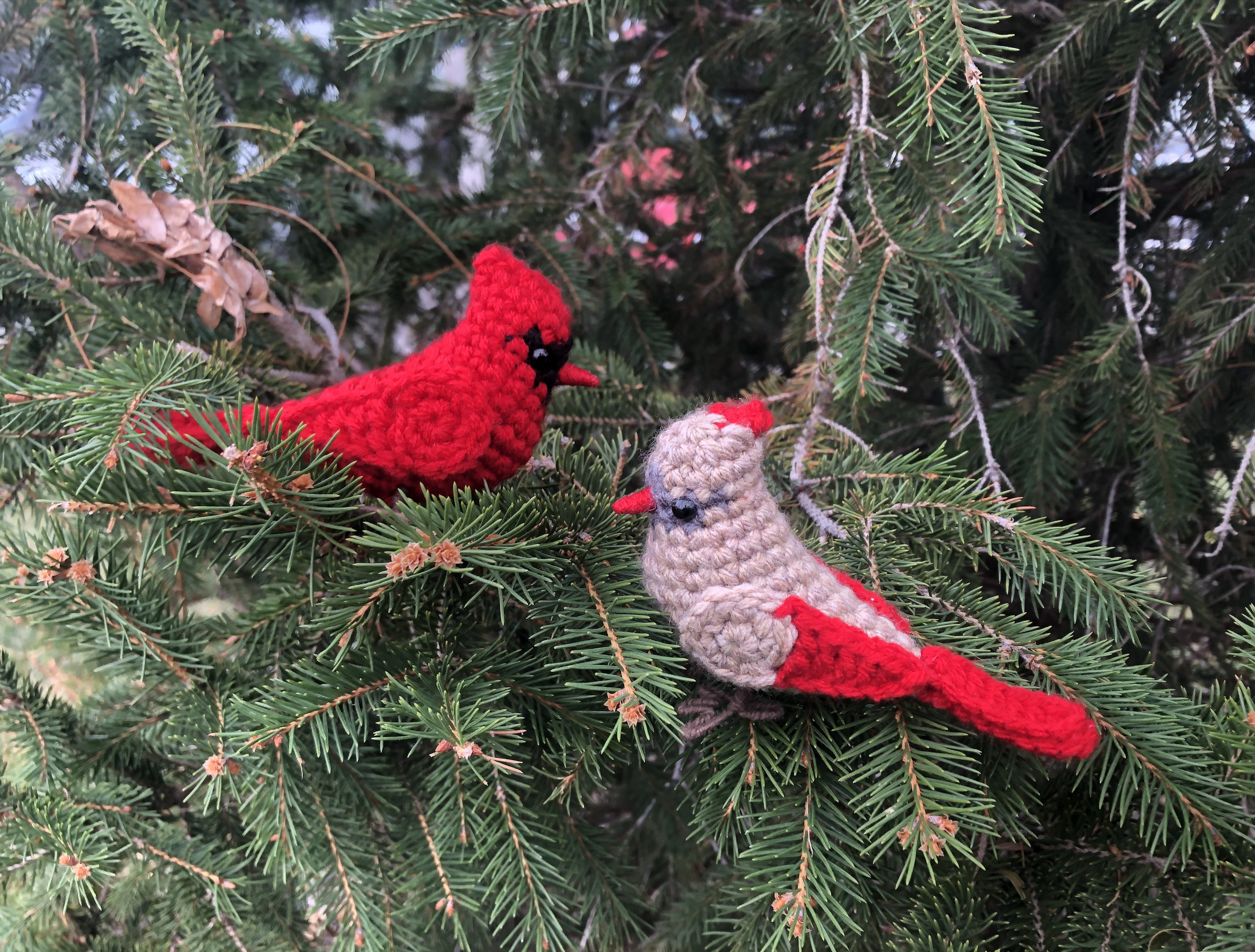 Male + Female Cardinal Crochet Pattern Bundle | Realistic Bird Crochet ...