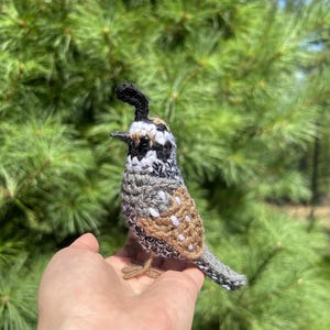 California Quail Written Crochet Pattern | Crochet Bird Amigurumi ...