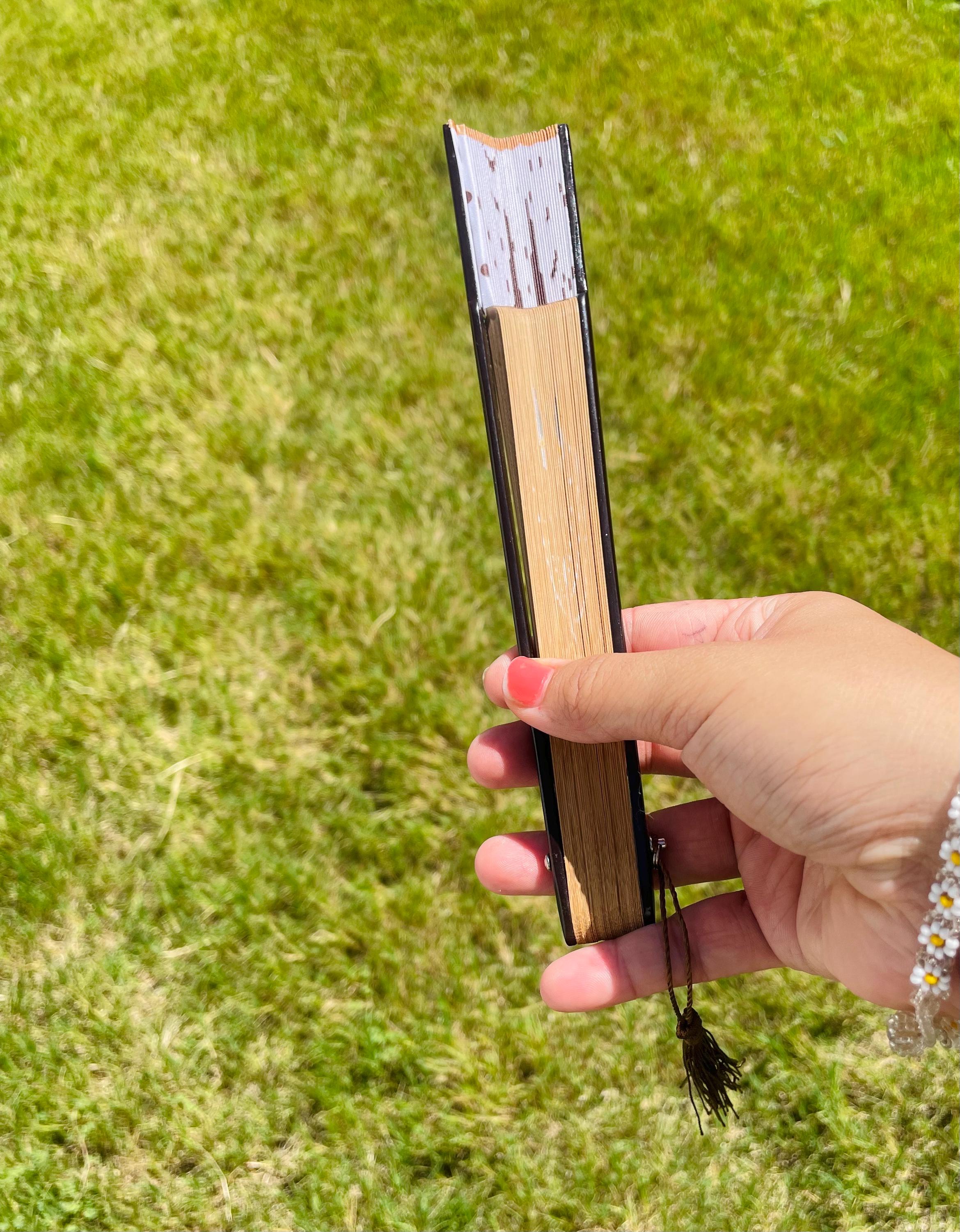 Brown Cat Handheld Fan : Cat Lovers Gift Festival Fan Accessories - Etsy