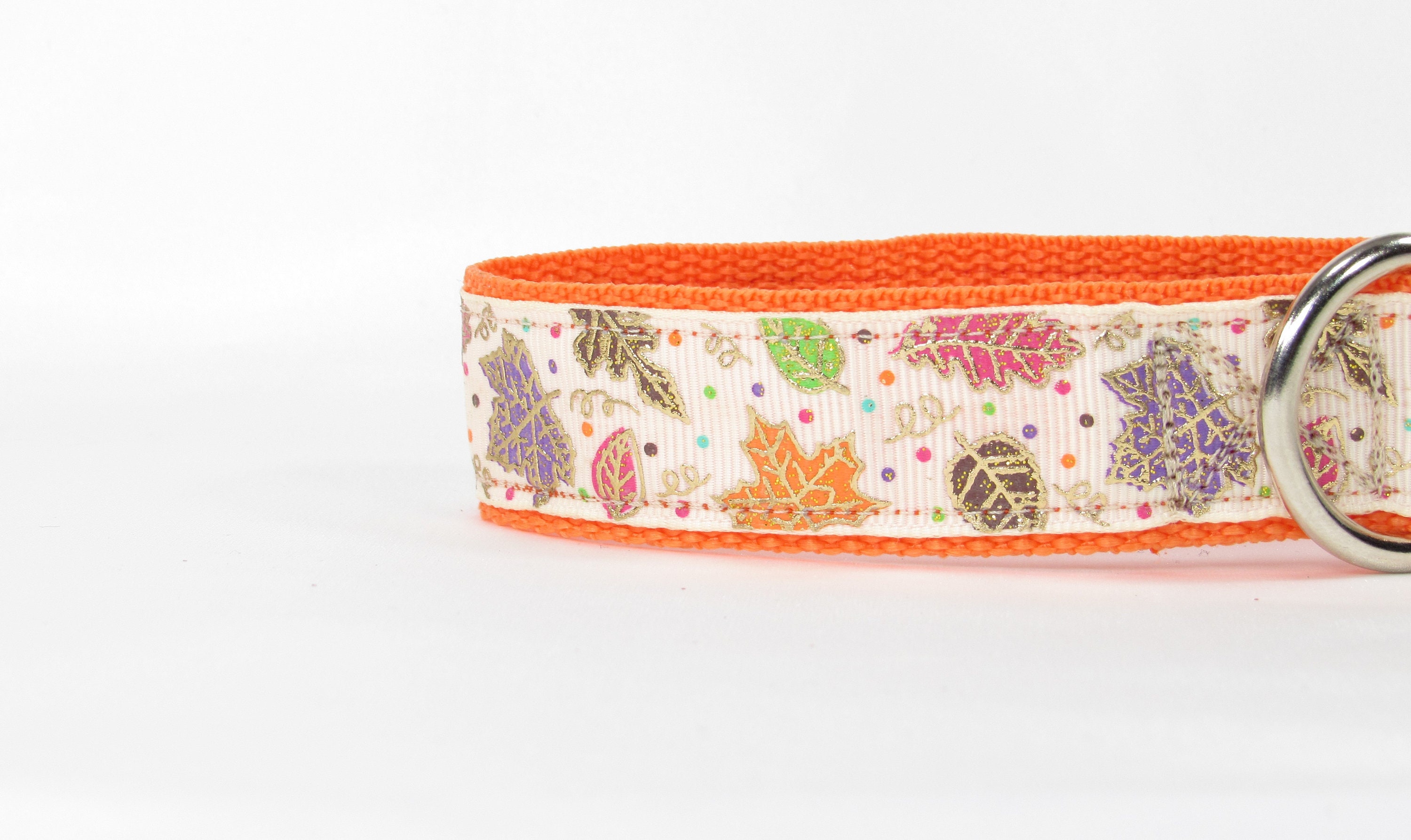 Special Fall Dog Collar Sparkles Colorful Autumn Fall - Etsy