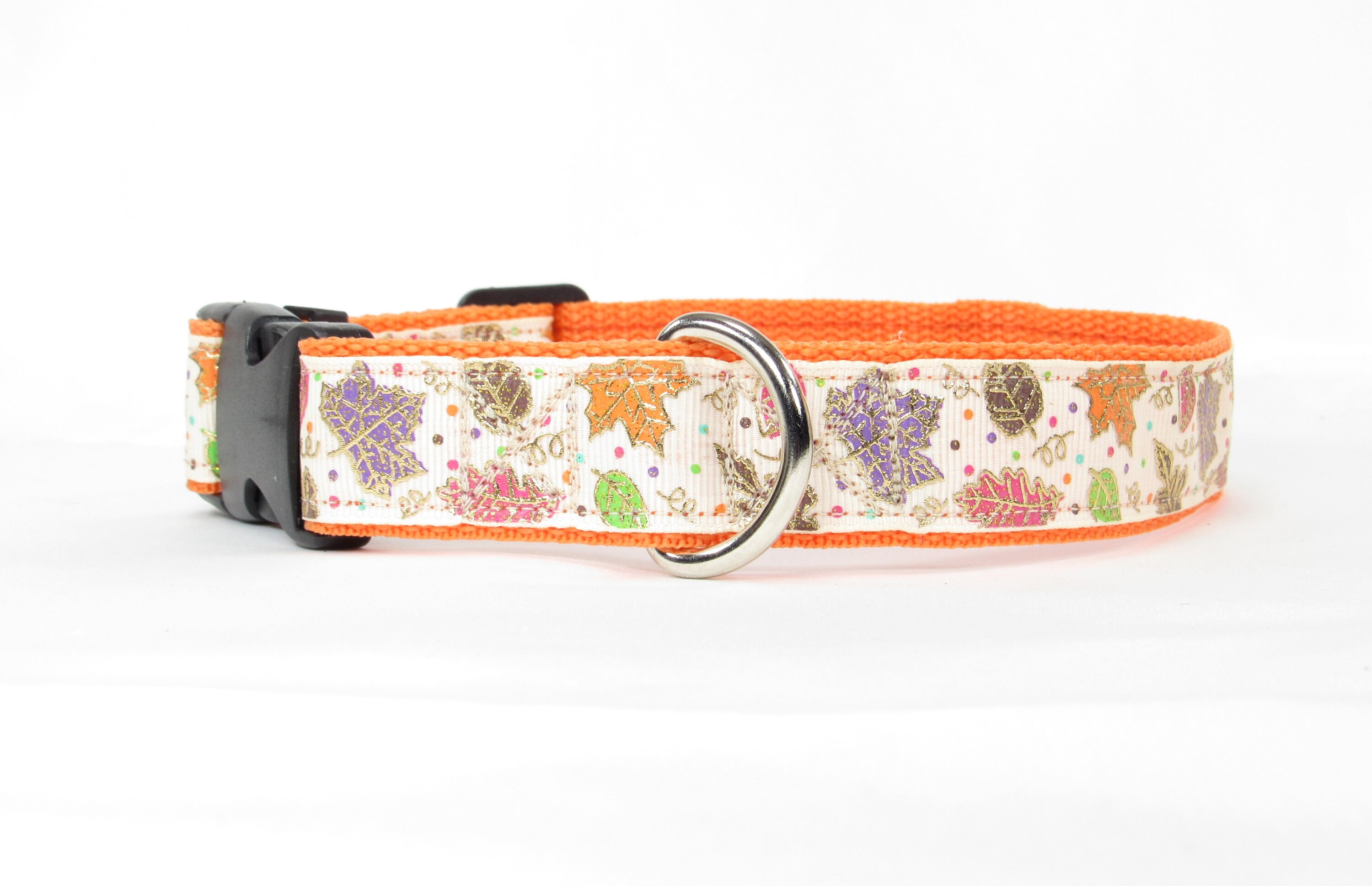Special Fall Dog Collar Sparkles Colorful Autumn Fall - Etsy