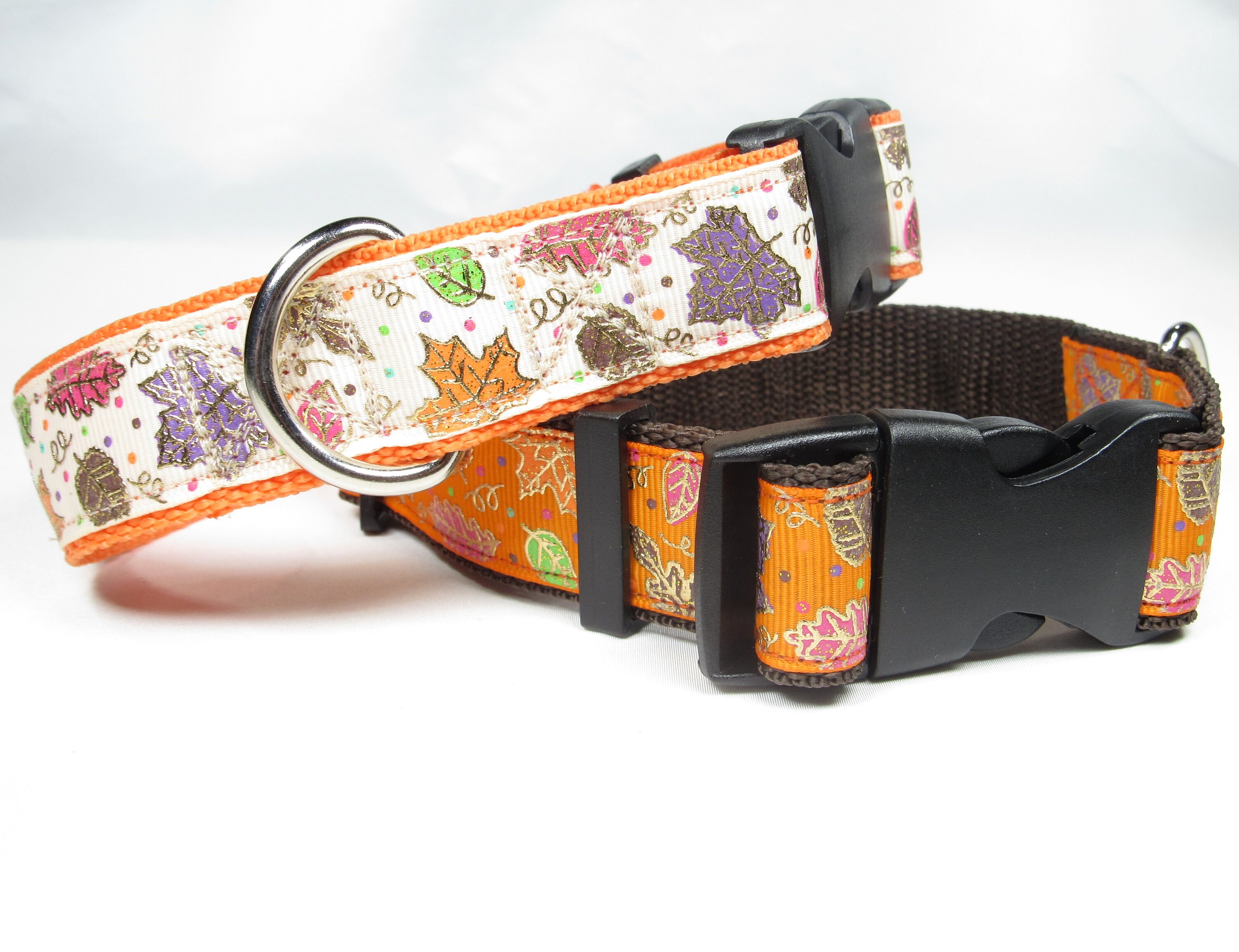 Special Fall Dog Collar Sparkles Colorful Autumn Fall - Etsy