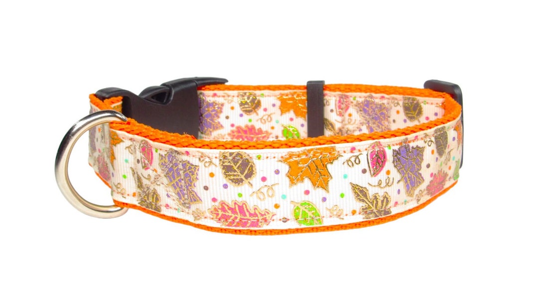 Special Fall Dog Collar, Sparkles, Colorful, Autumn, Fall, Seasonal, 1 ...