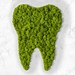 Tooth Dental Office Moss Wall Art - Etsy
