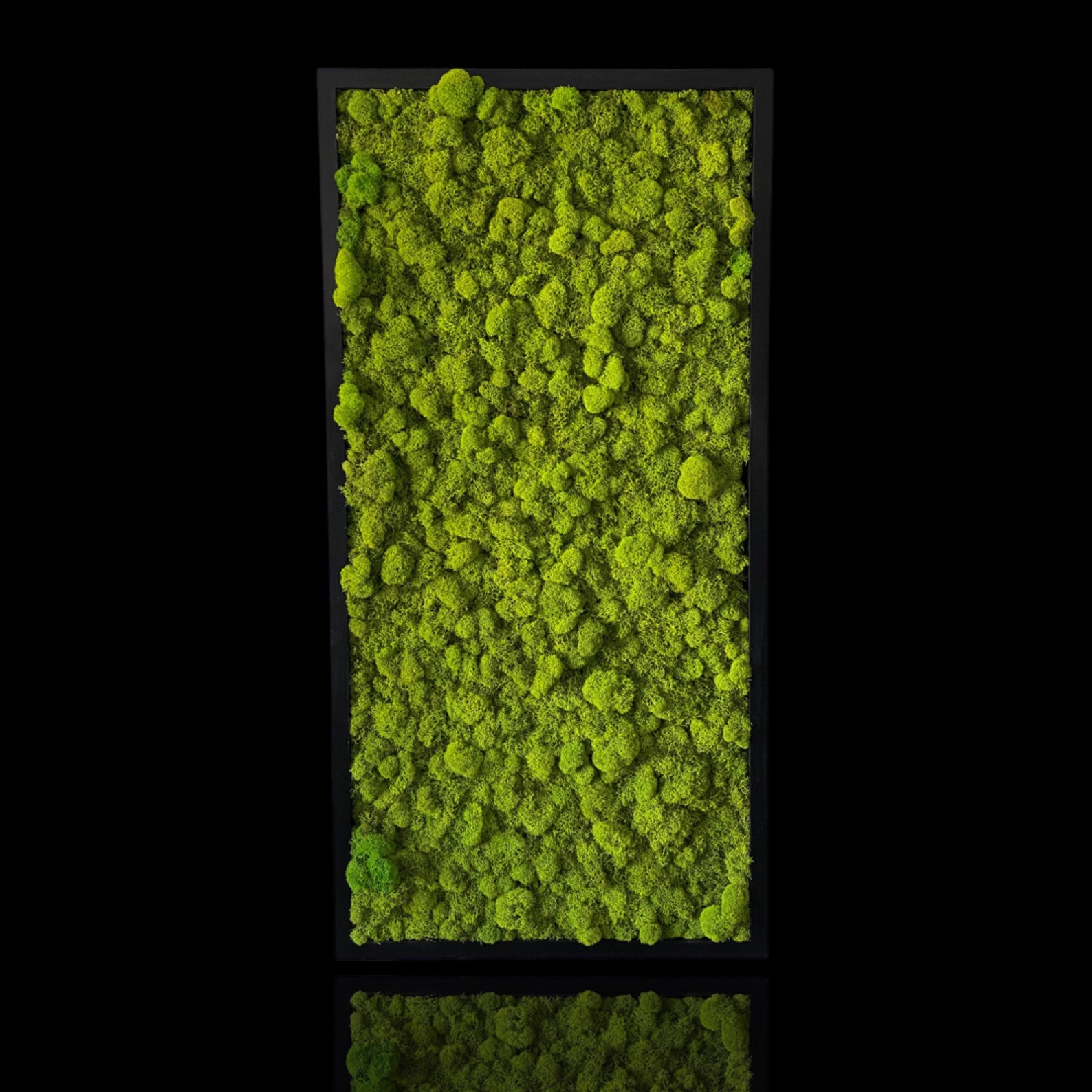 40 Sizes of Lush Moss Wall Art Hanging Garden - Etsy Canada