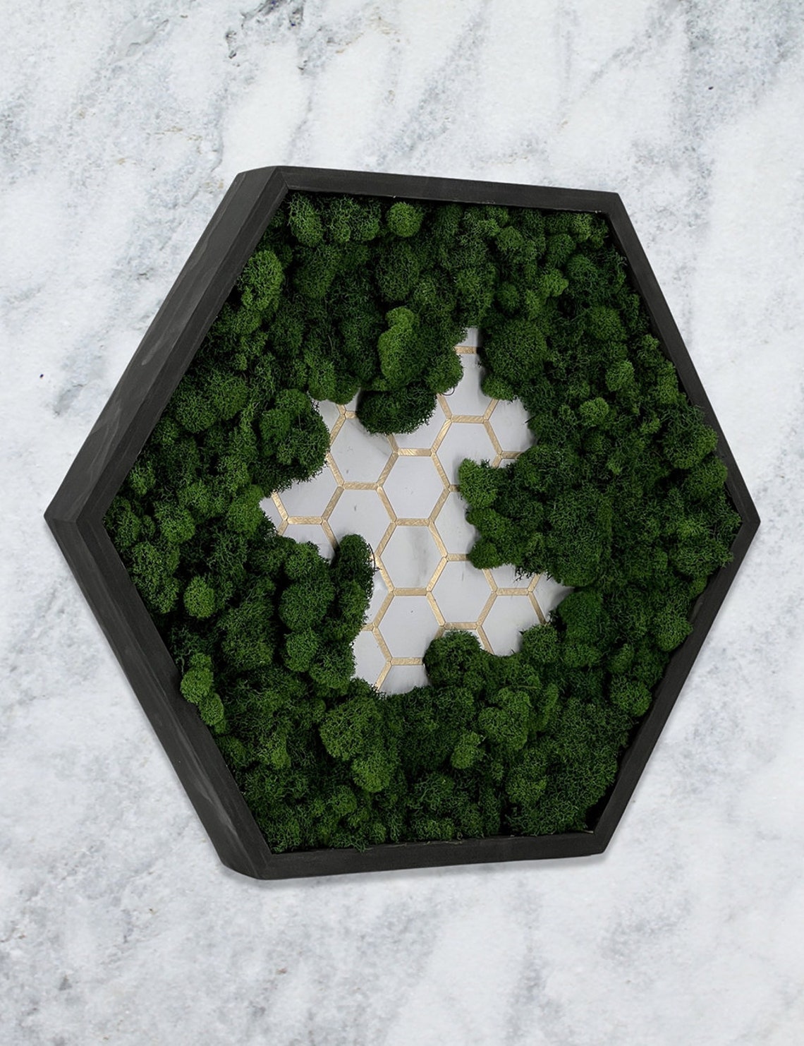 Tiled Hexagon Moss Art - Etsy