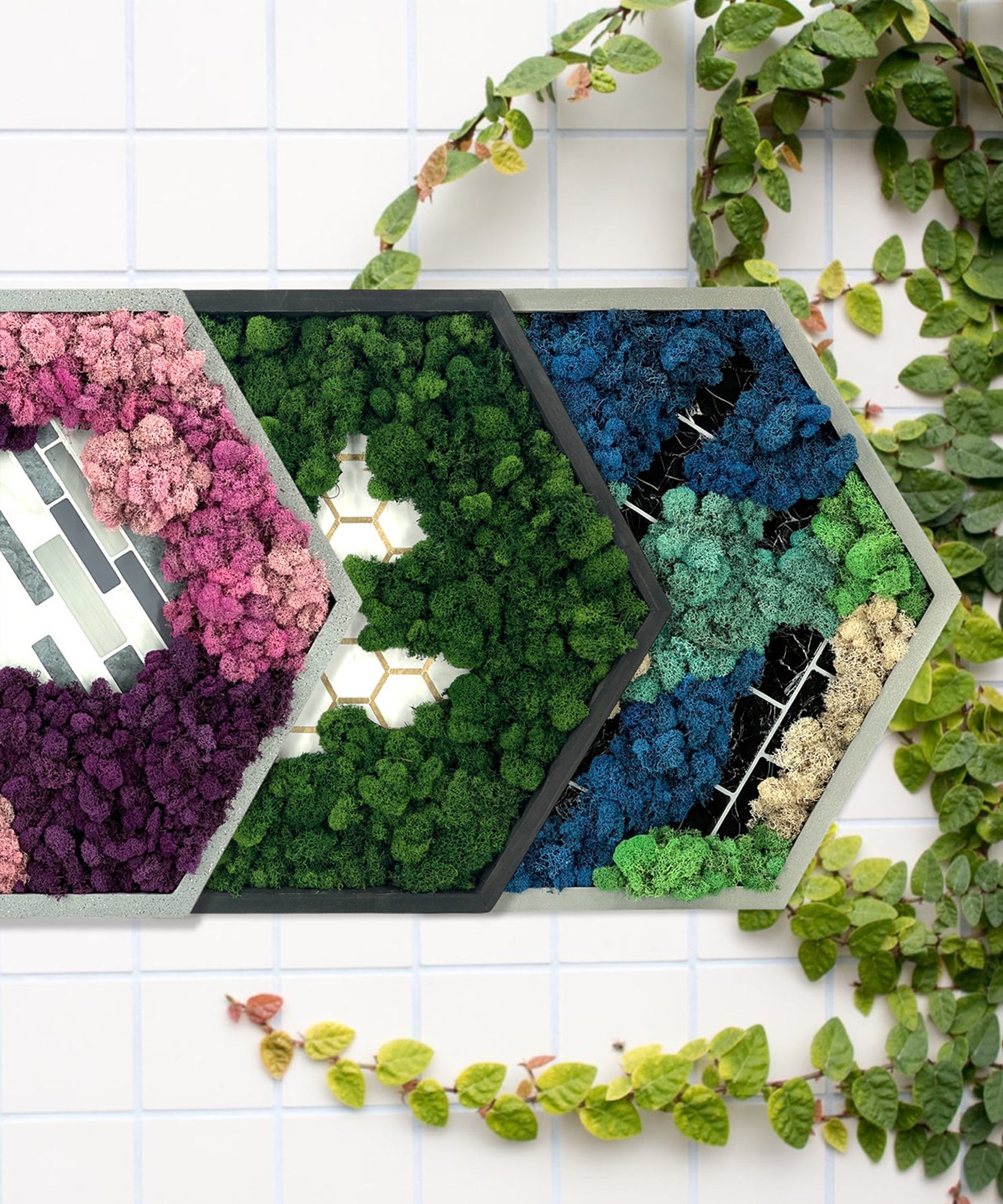 Tiled Hexagon Moss Art - Etsy