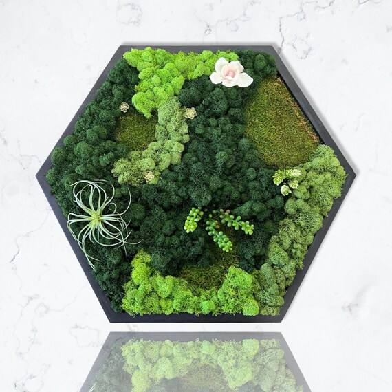 Floral Hexagon Moss Wall Decor - Etsy