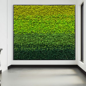 Ombre Gradient Moss Wall Art - Etsy
